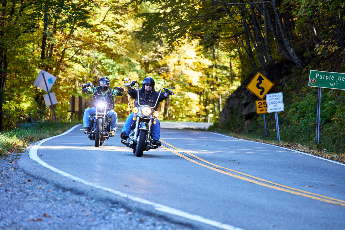 Snake Ride – The Southern Dozen