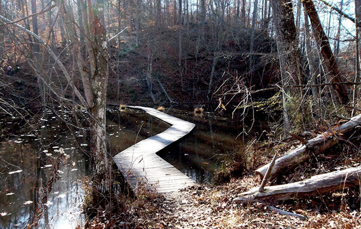 Howling Wolves, Stars and History – The Southern Dozen