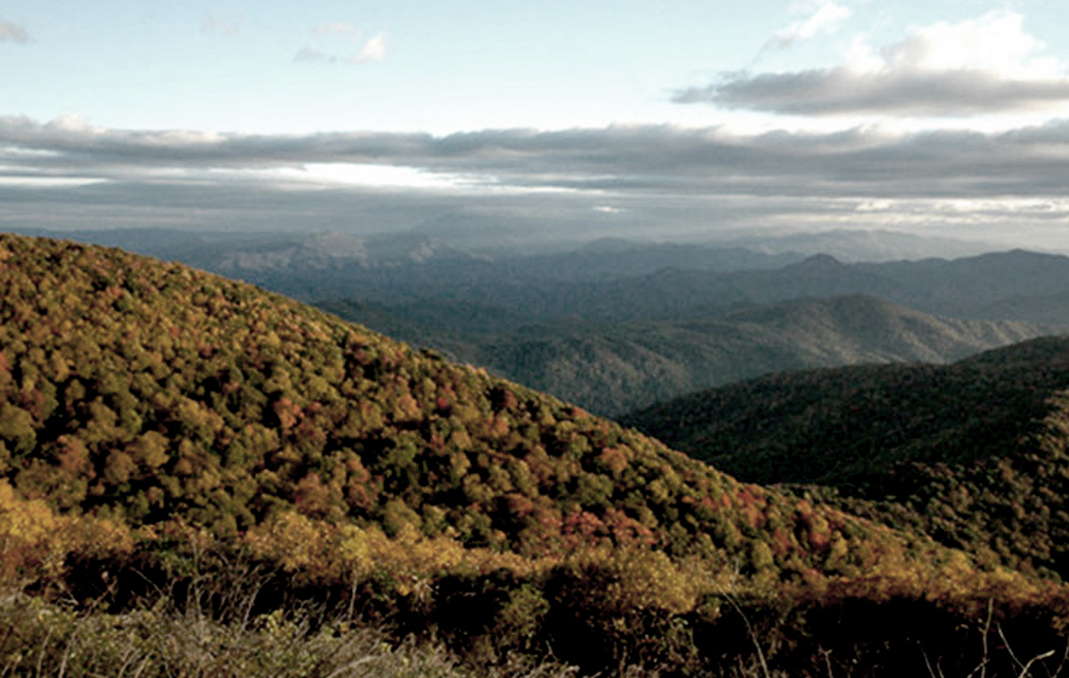 Top of the Roan – The Southern Dozen